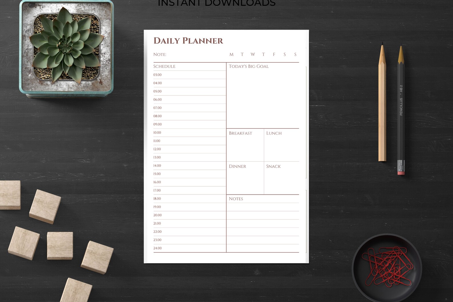 Printable Daily Sheet Plan Simple Functional Personal Daily 24 Hour ...