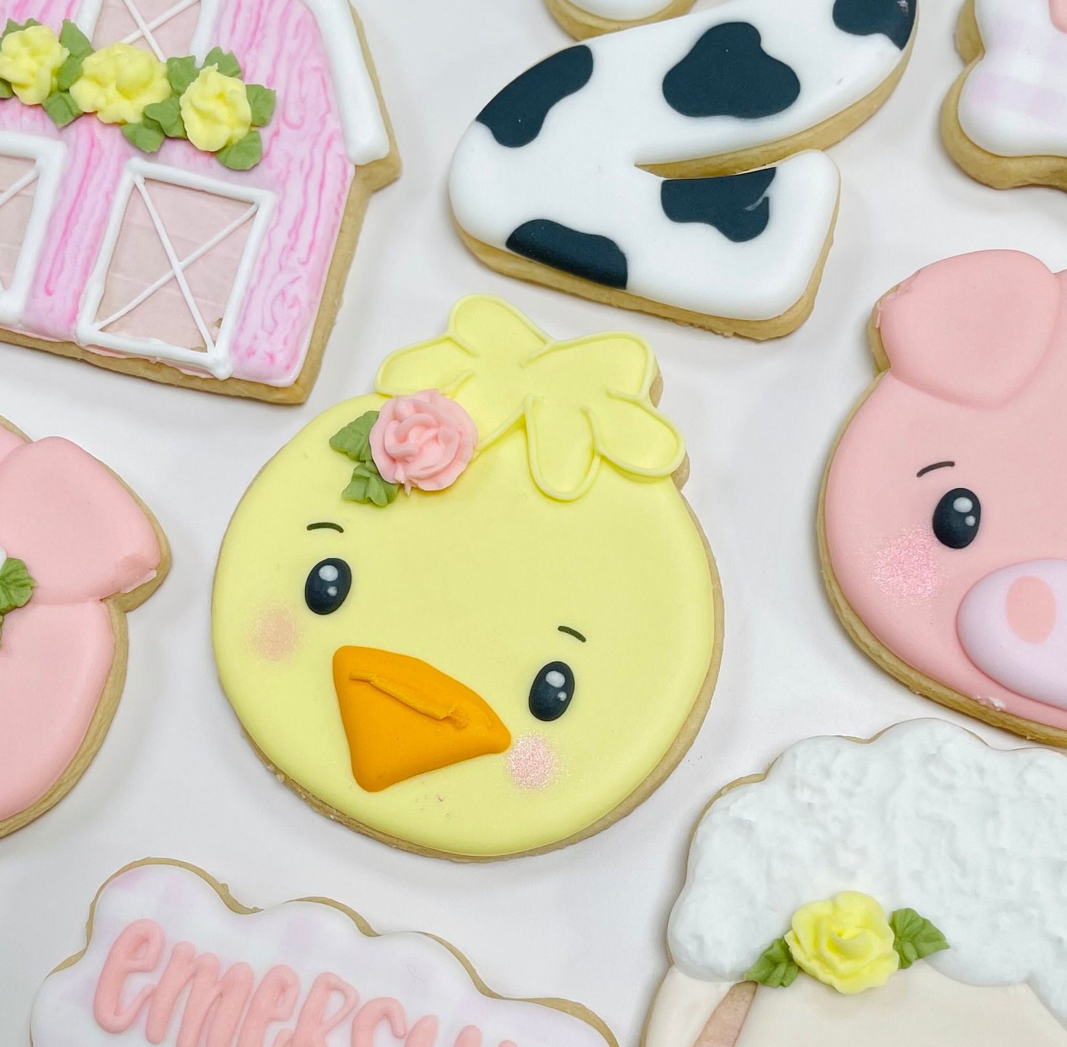 Baby Chick Face Cookie Cutter STL File Digital Download - Etsy