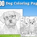 100 Dog Coloring Pages Very Cute | Printable Coloring Book | Coloring ...