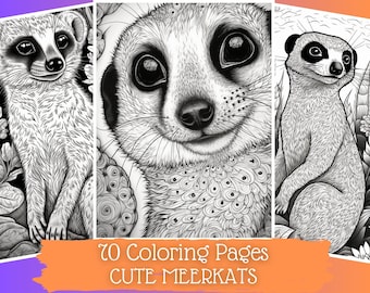 meerkat coloring page free