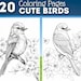 120 Birds Coloring Pages | Printable Coloring Book (digital Download ...