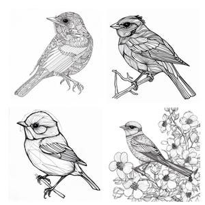 50 Birds Coloring Pages No. 2 | Printable Coloring Book | Coloring ...