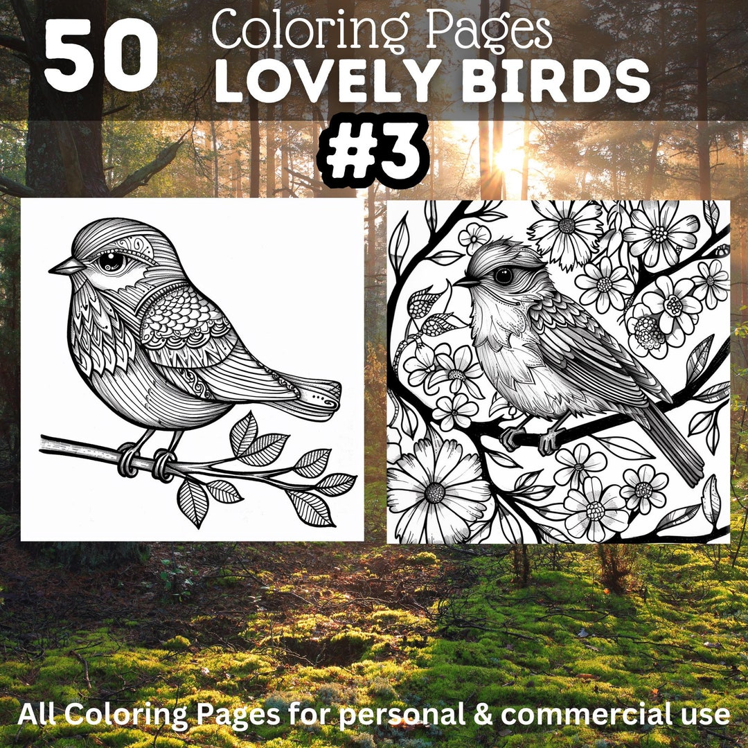 50 Birds Coloring Pages No. 3 | Printable Coloring Book | Coloring ...