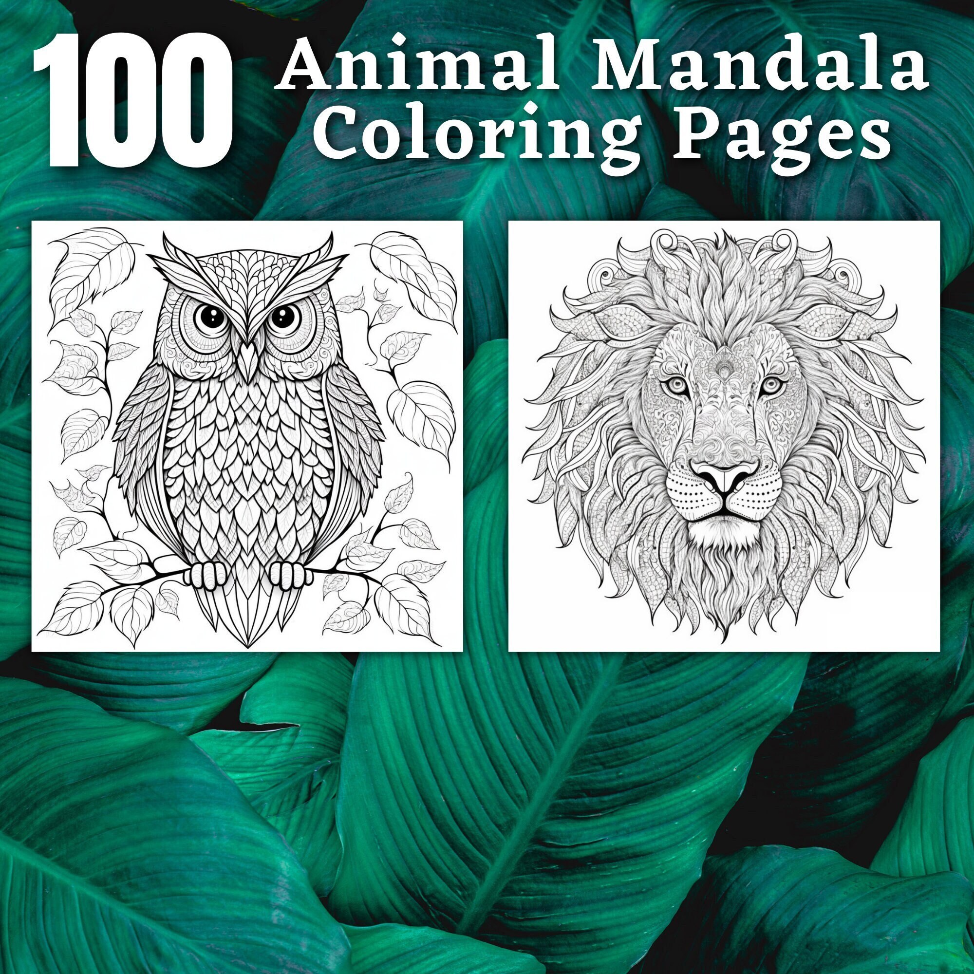 Dk Printable Coloring Pages