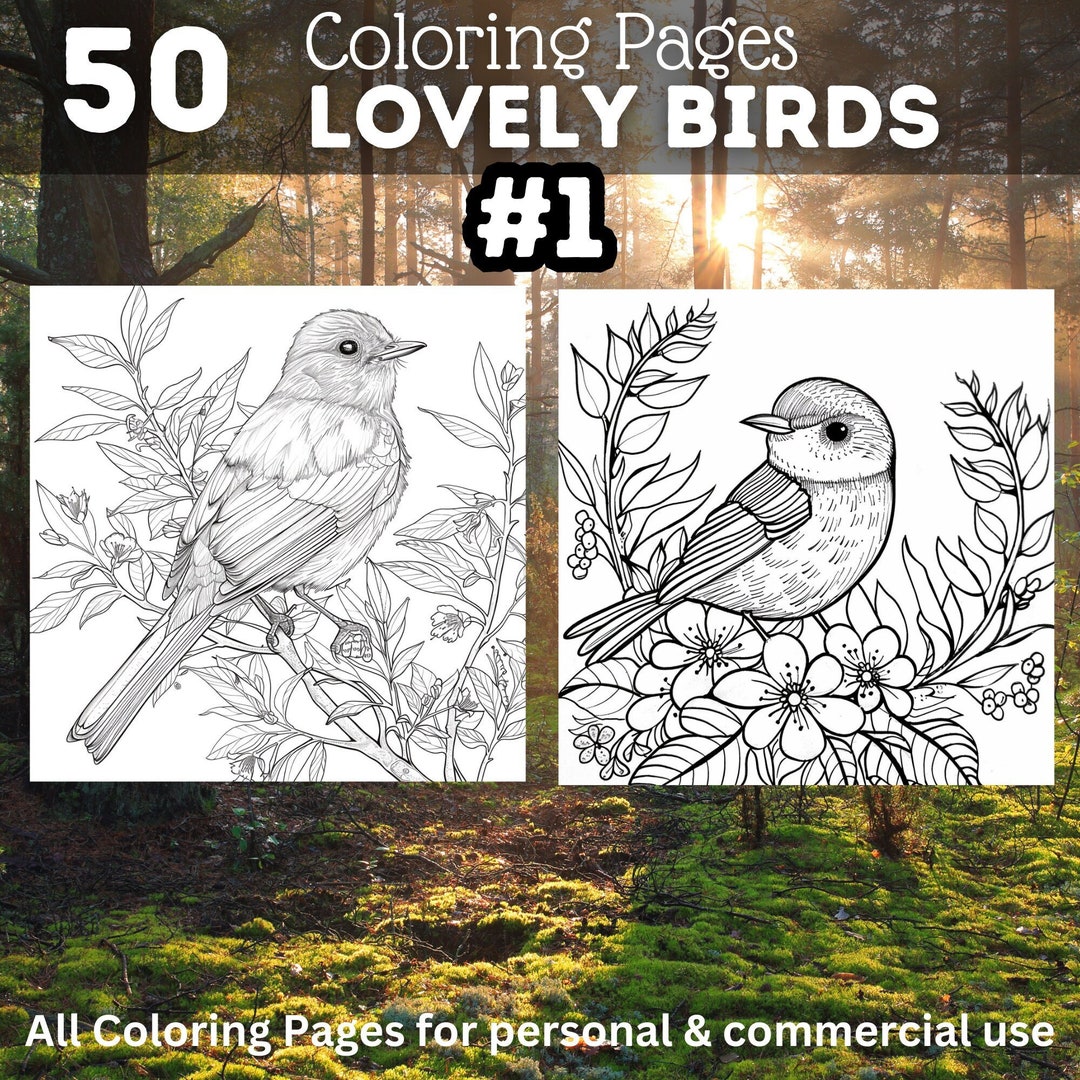 50 Birds Coloring Pages No. 1 | Printable Coloring Book | Coloring ...