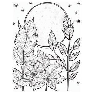 100 Minimalism Coloring Pages Printable Coloring Book - Etsy