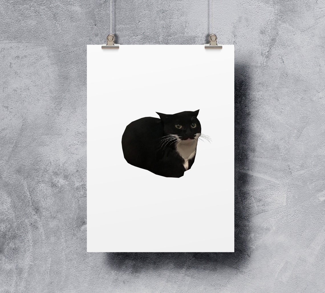 Maxwell the Cat Poster, Maxwell Cat Meme Wall Art, Maxwell Cat, Funny ...