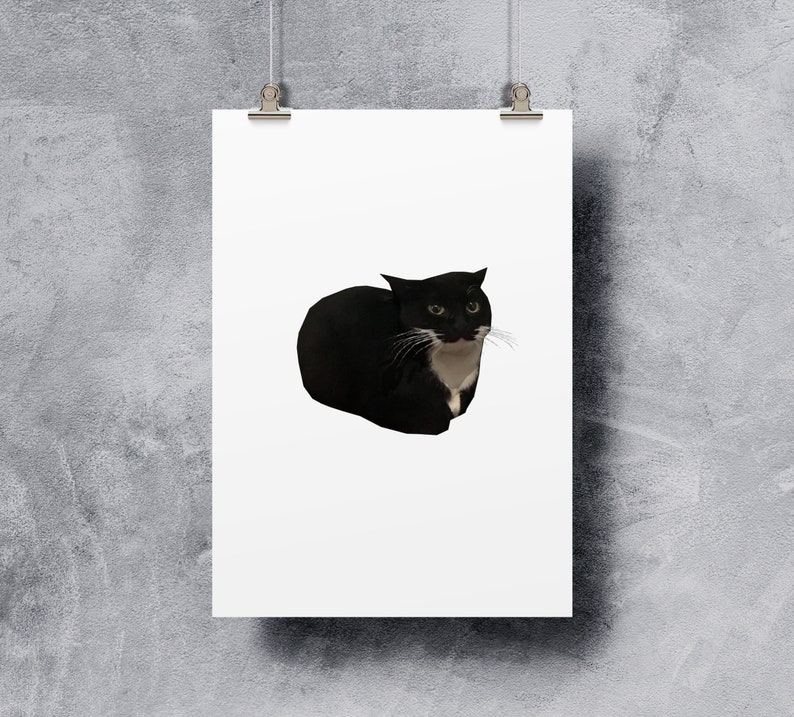 Maxwell the Cat Poster, Maxwell Cat Meme Wall Art, Maxwell Cat, Funny ...