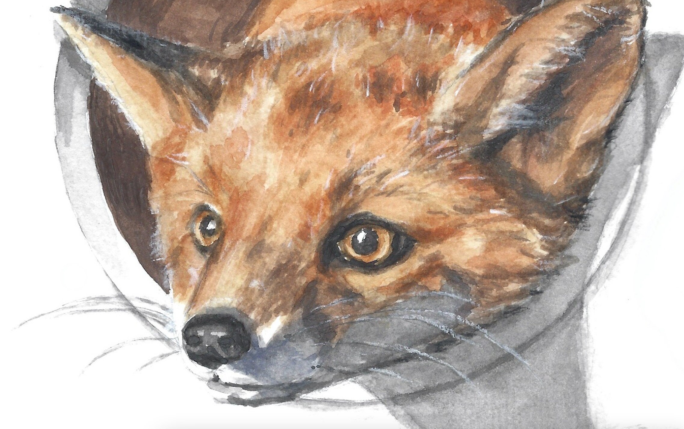 Cottagecore Woodland Animals Art Download Set of 3 Warm and - Etsy