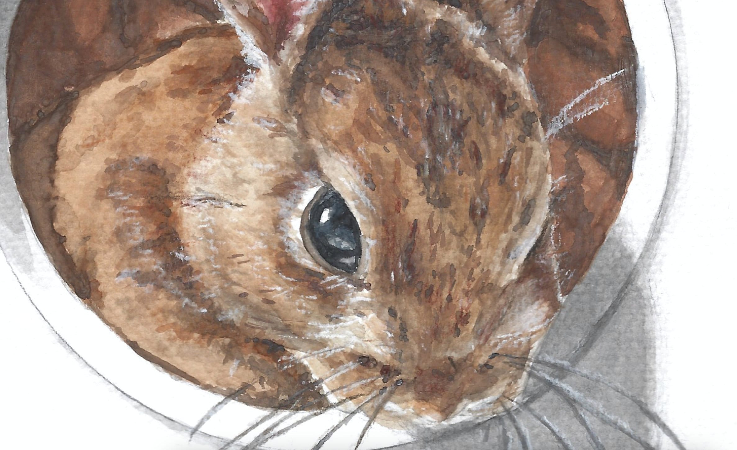 Cottagecore Rabbit Art Download Sweet Brown Bunny Watercolour - Etsy