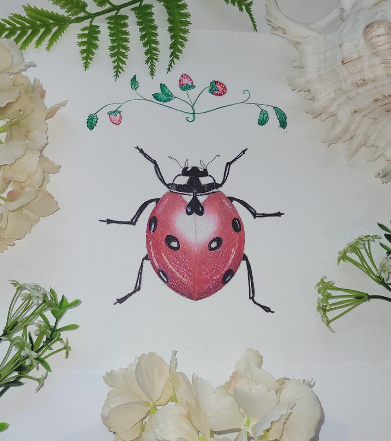 Ladybug Art Print, Watercolor Strawberry Flourish, Mixed Media Insect ...