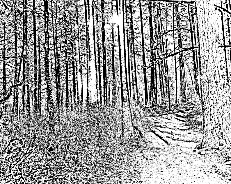 Forrest Path in Line Art Coloring Page - Etsy
