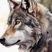 Grey Wolf Watercolor, Art Print, Poster, Wall Art, Printable Download ...