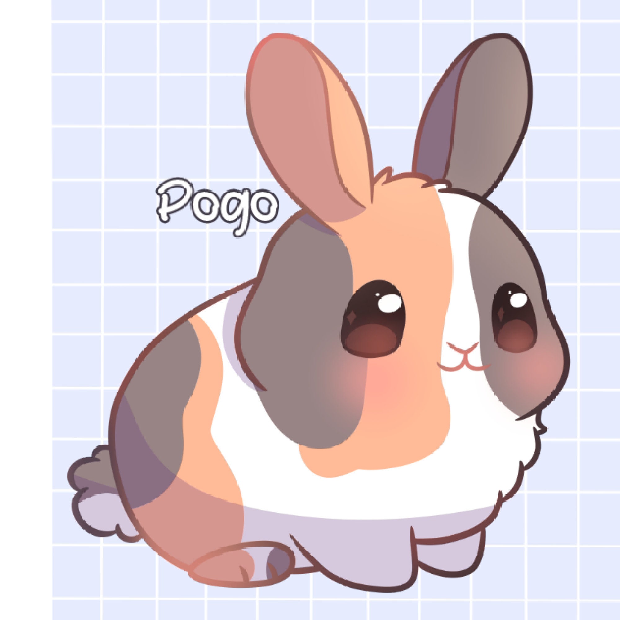 Bunny Pngtuber Pack! || All 5 Bunny Variations - Etsy