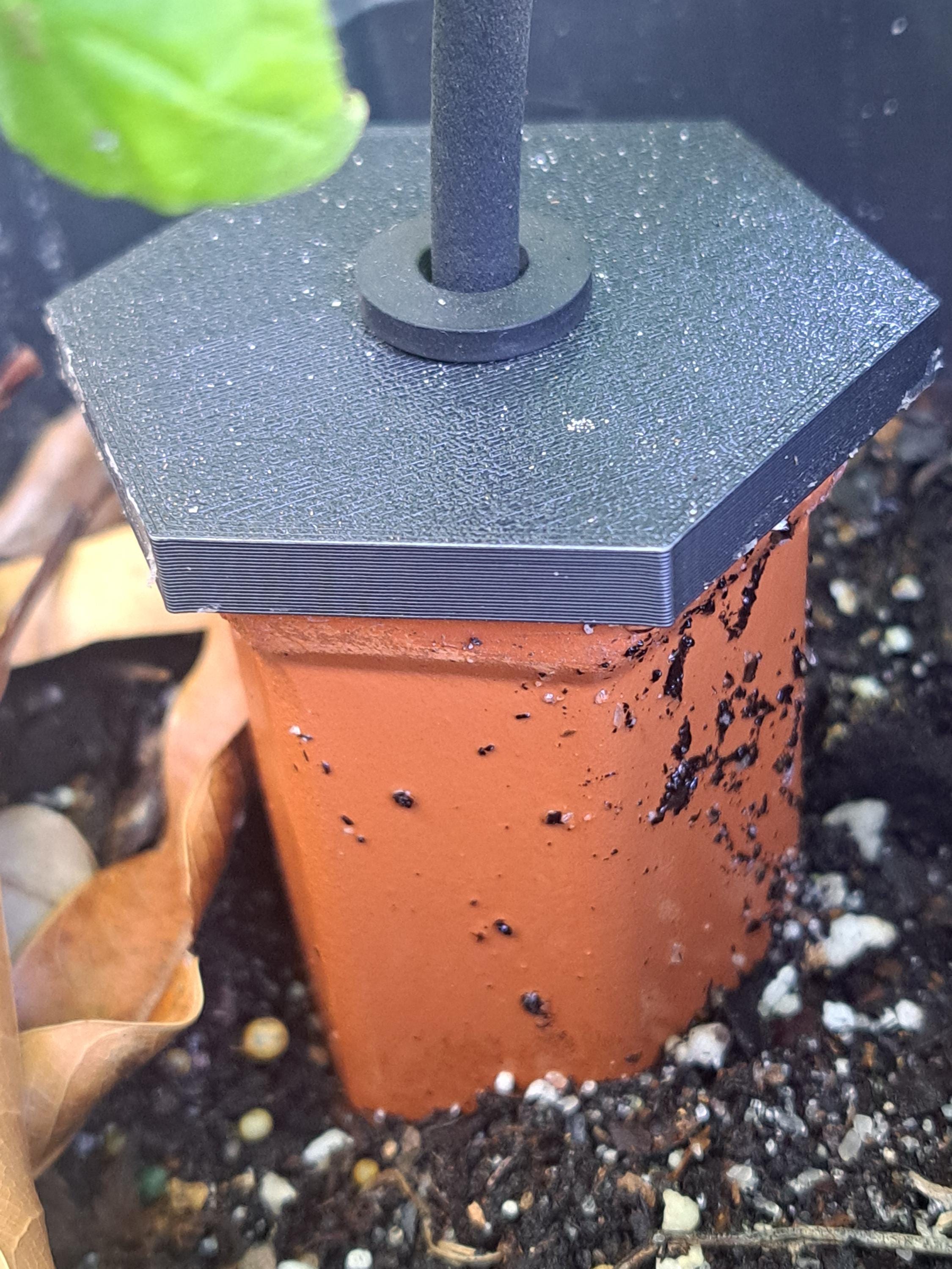 Pack of 5 Terracotta Olla Watering Stakes – Self-watering & Irrigation ...