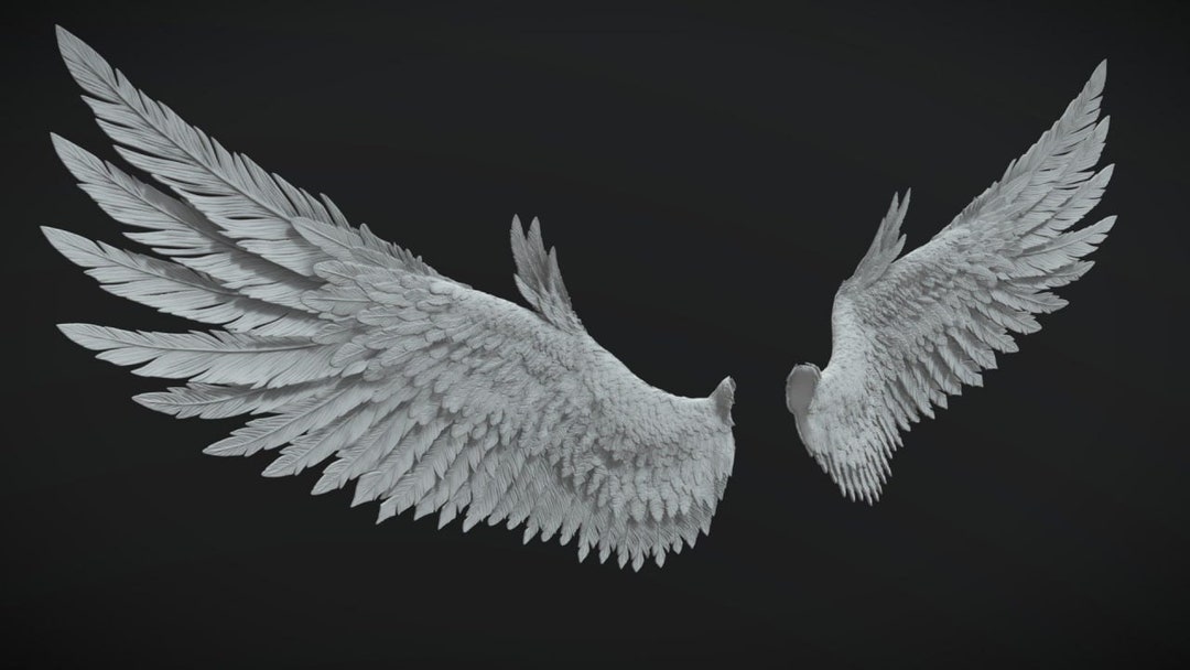 3d Stl Files for 3d Printing, 3d Stl Angel Wings Model, Stl for ...