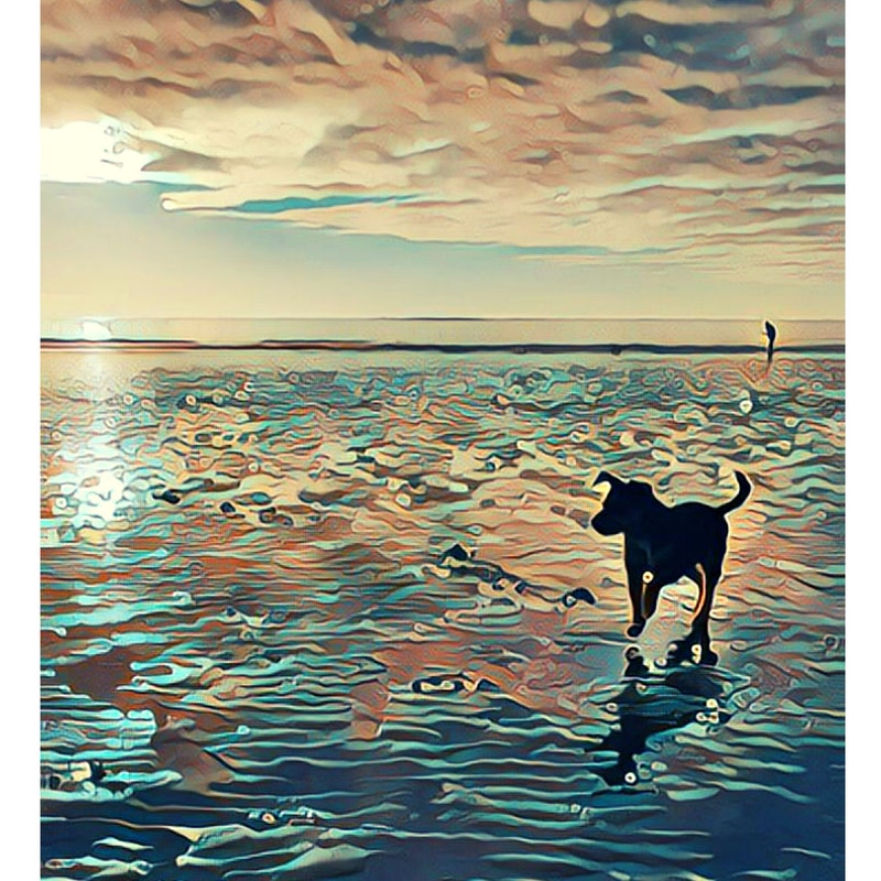 Dogs on Beach Art Painting - Etsy UK