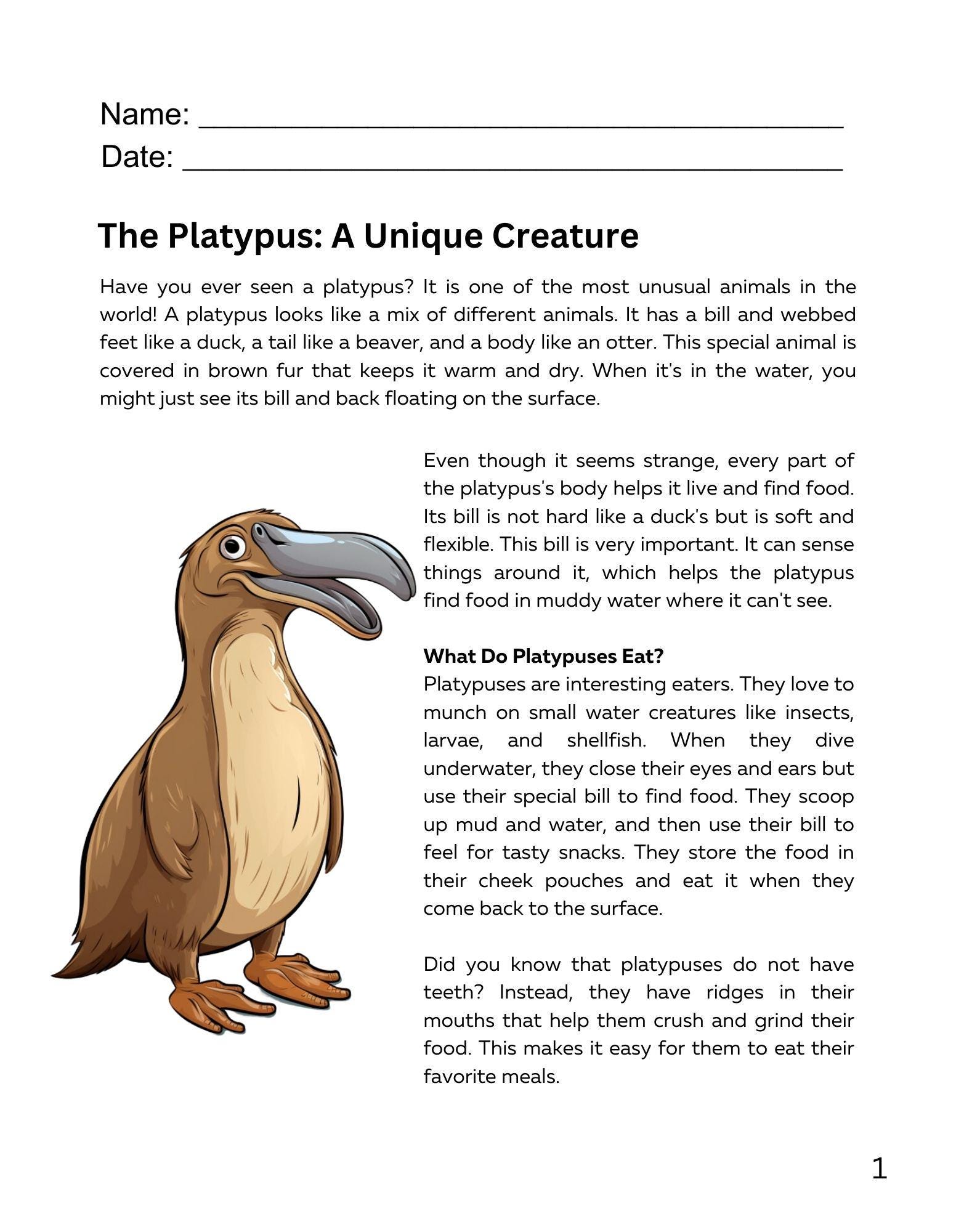 Grade 3 Reading Comprehension Background Knowledge Super Pack - Etsy