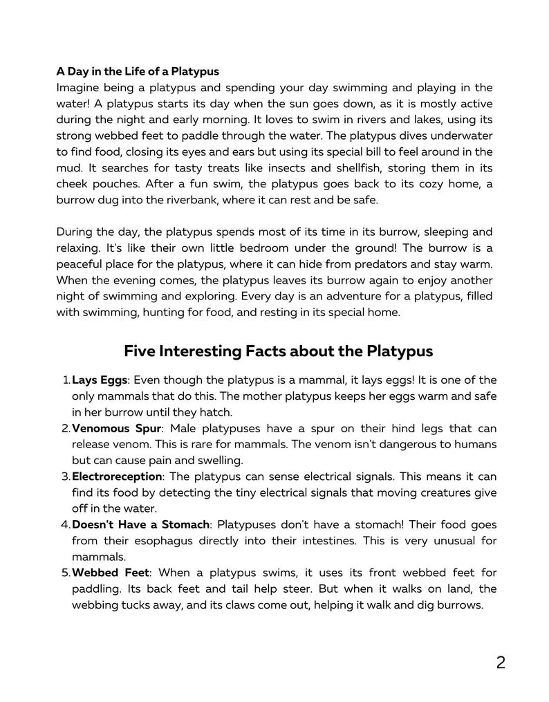 Grade 3 Reading Comprehension Background Knowledge Super Pack - Etsy ...