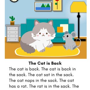 Decodable Readers Bundle- Short Vowels, Digraphs, Consonant Blends ...