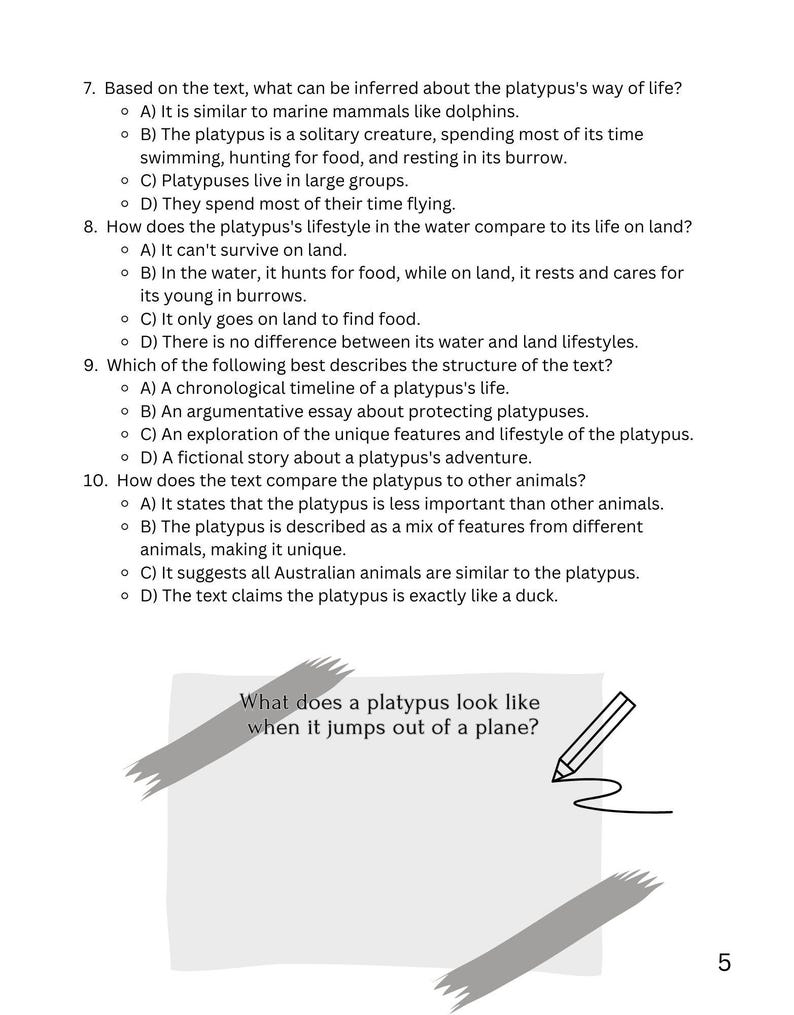 Grade 3 Reading Comprehension Background Knowledge Super Pack - Etsy ...