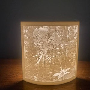 Customizable Night Light Shade Lithopane - Etsy