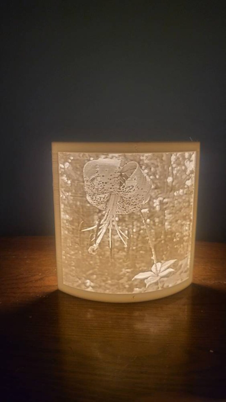 Customizable Night Light Shade Lithopane - Etsy