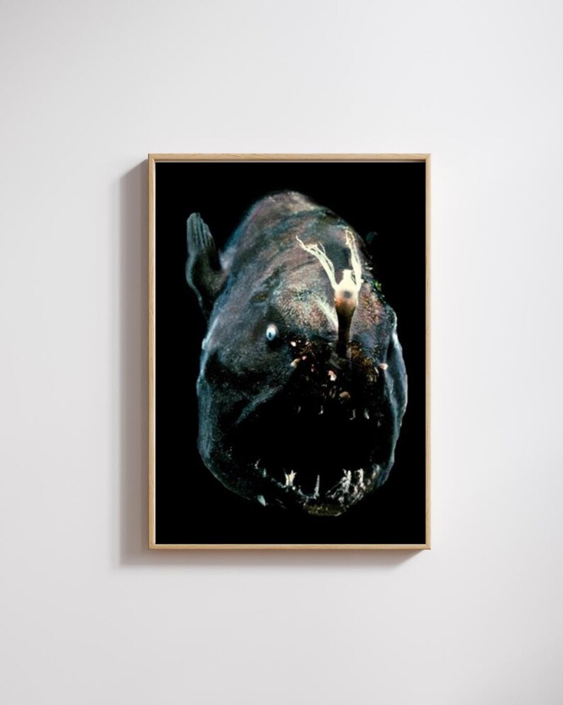 Anglerfish : the Deep-sea Monster With Razor-sharp Teeth and Glowing ...