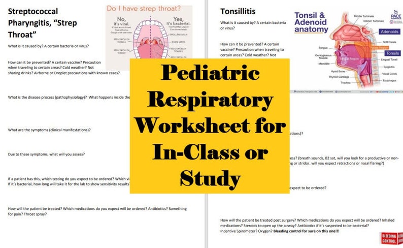 19 Page Pediatric Respiratory Worksheet for in Class Activity or Study ...