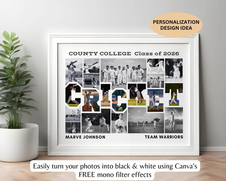 CRICKET Photo Collage Canva TEMPLATE, Customizable Sports Team Poster ...