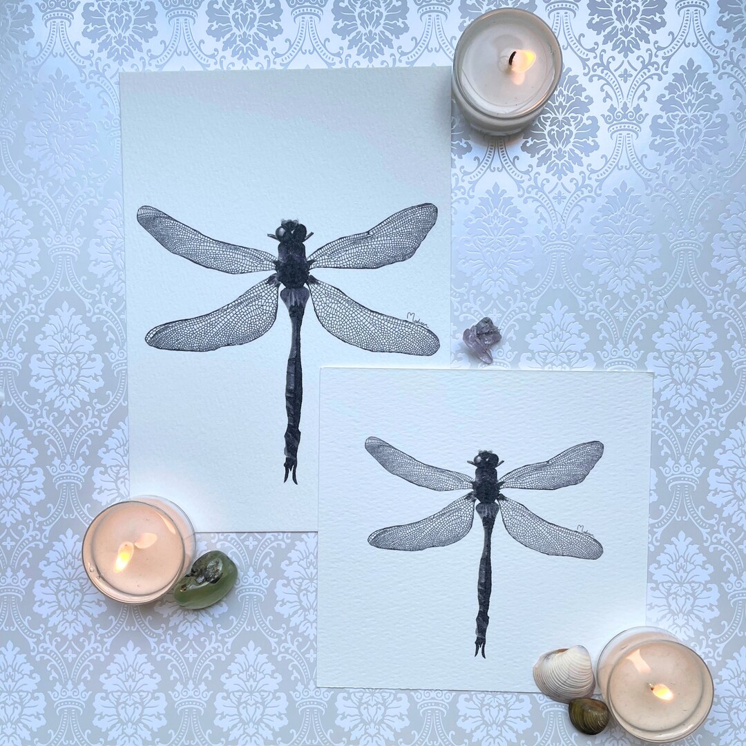 Dragonfly Art Print | Bug Art Print Bug Artwork Bug Wall Art Decor Wall ...