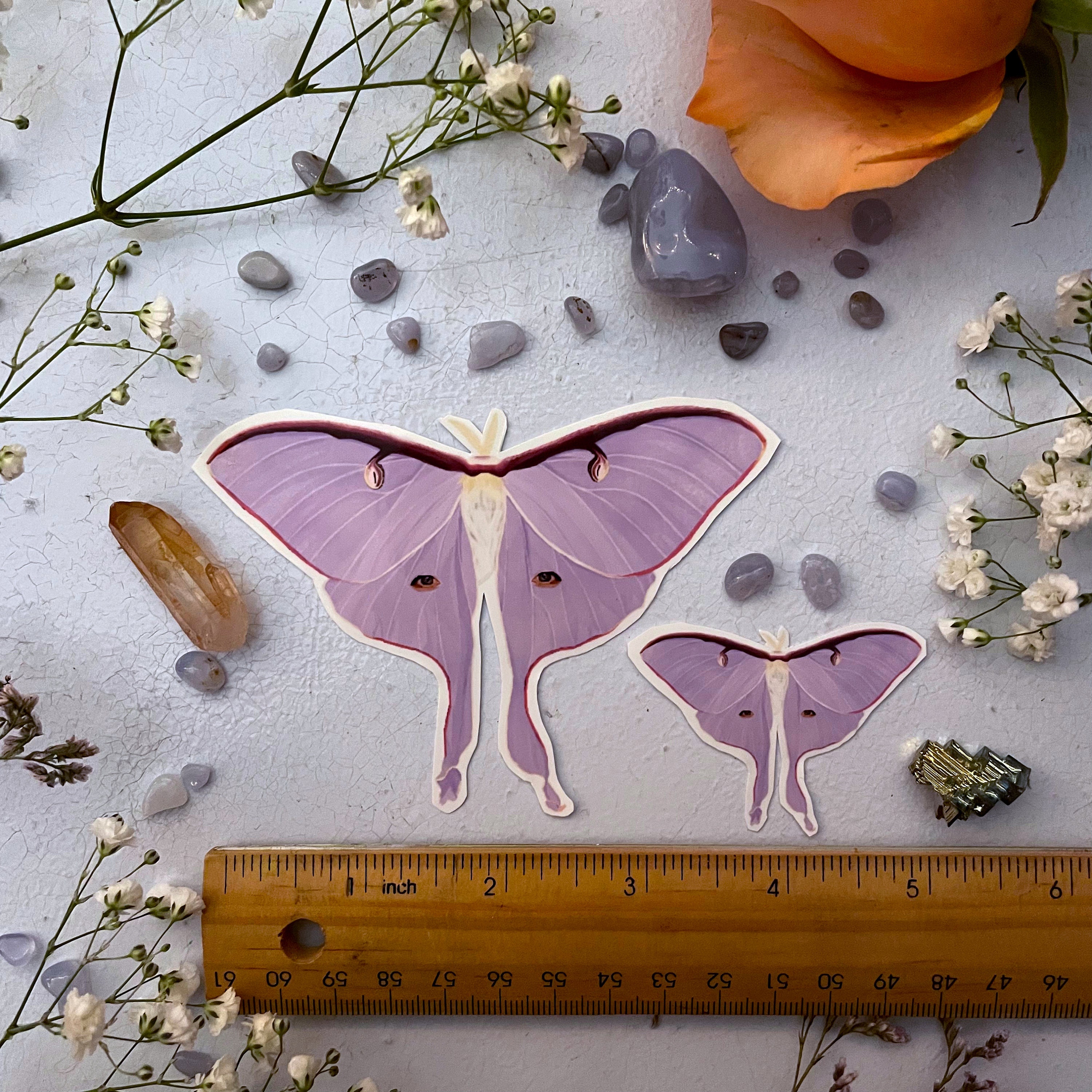 Whimsical Purple Luna Moth Sticker - Glossy Vinyl Moth Wings Spiritual ...