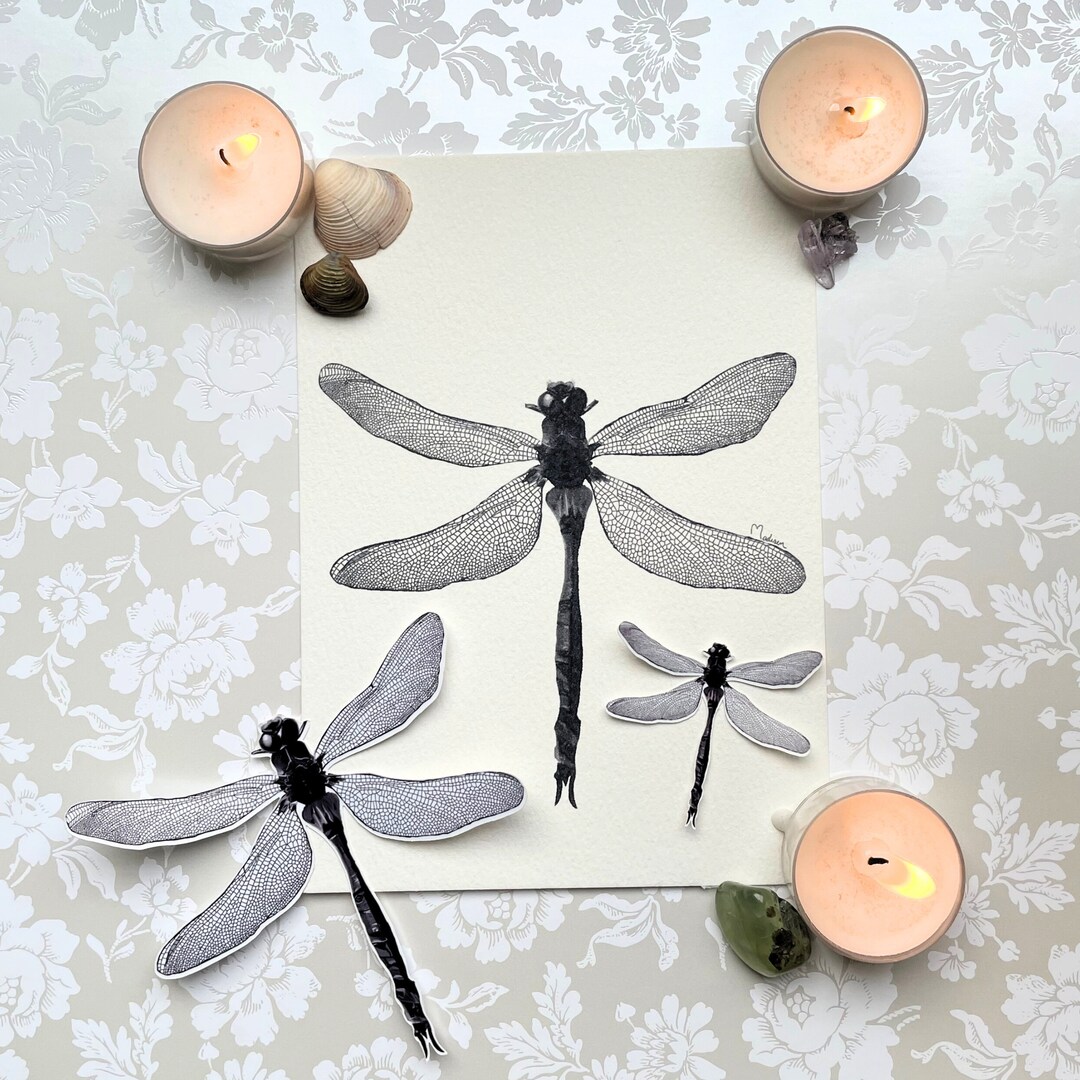 Dragonfly Art Bundle Pack - Cottagecore Art Prints Fine Art Stickers ...