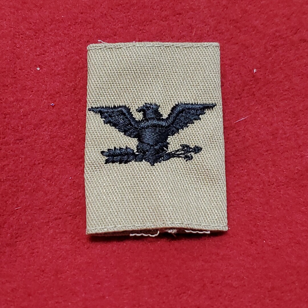 VINTAGE US Armed Forces ARMY Colonel Gore-tex Gtx Dcu Desert Slip-on ...