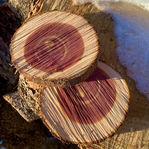 Red Cedar Wood - Etsy