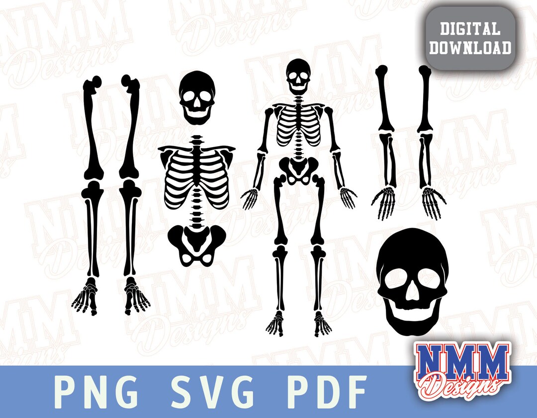Skeleton Parts SVG, Skeleton PNG, Skeleton Svg, Skeleton Parts Png ...