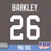 Barkley Jersey SVG PNG: School Sports Iron on (digital Download) - Etsy