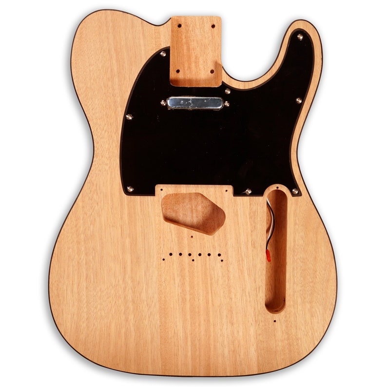 Bexgears DIY 12 String Electric Guitar Kits Mahogany Body - Etsy