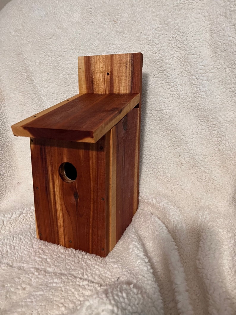 Cedar Bluebird House With Cleanout Door and Polyurethane - Etsy