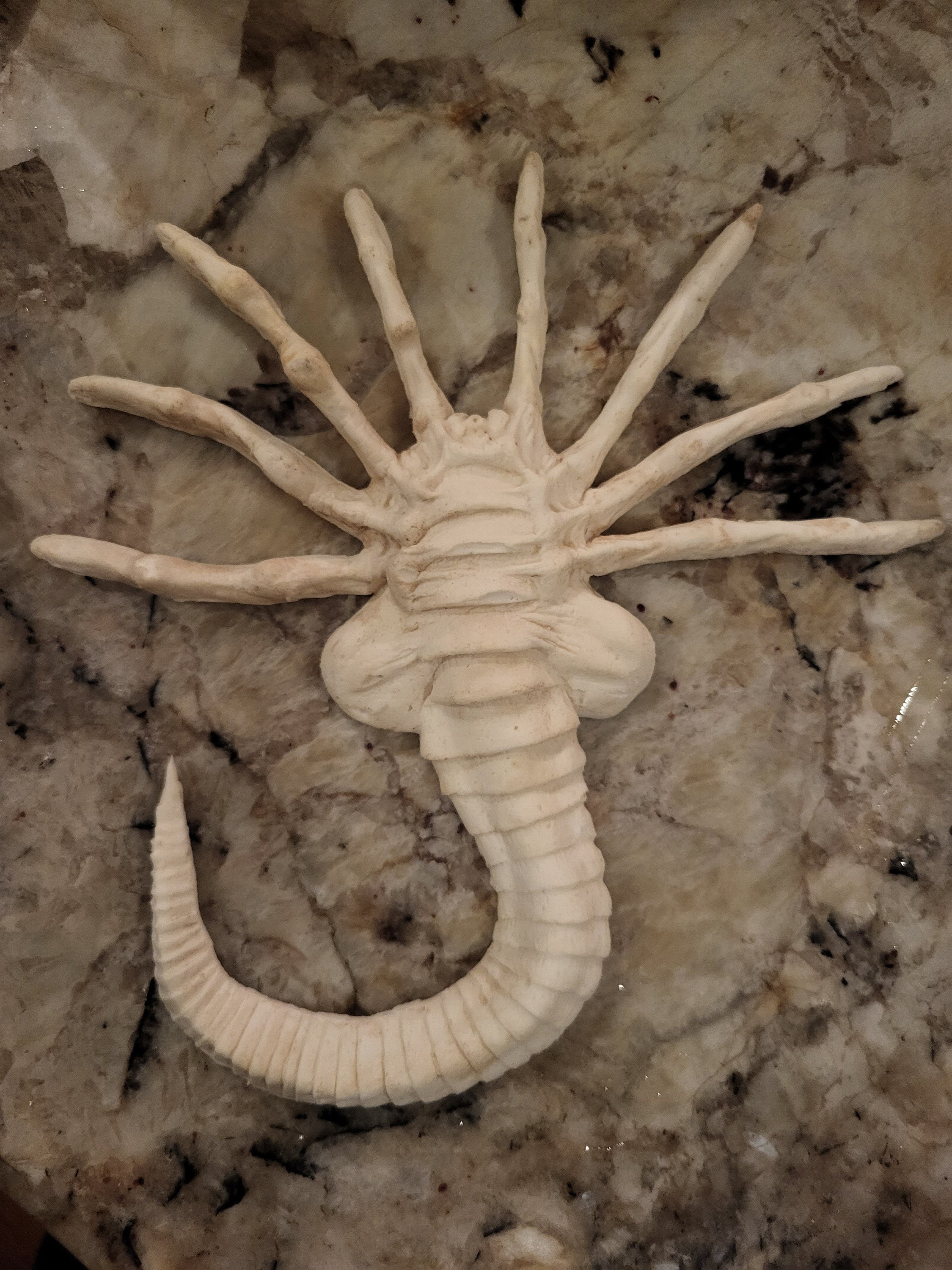 Face Hugger Prosthetic - Etsy