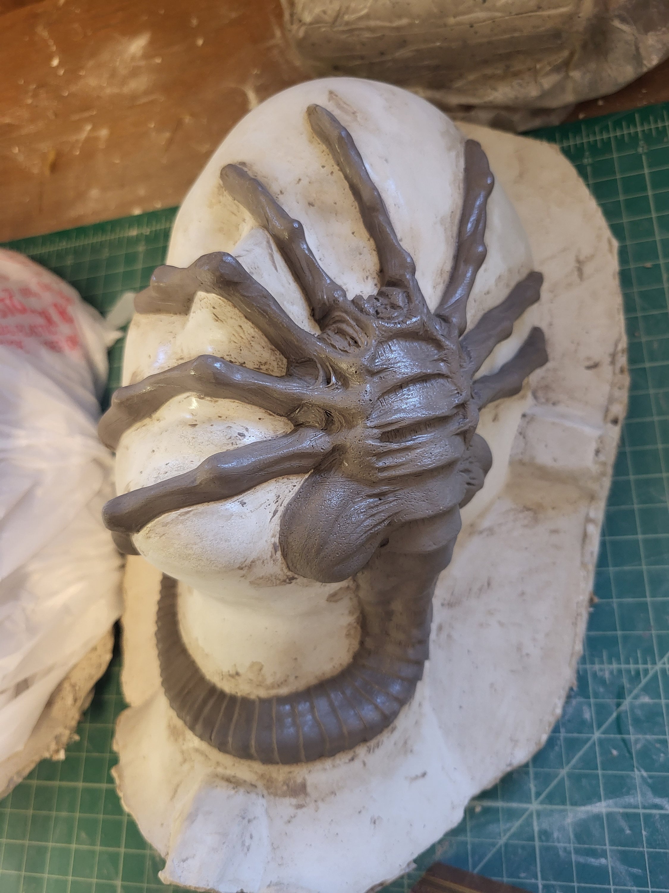 Face Hugger Prosthetic - Etsy