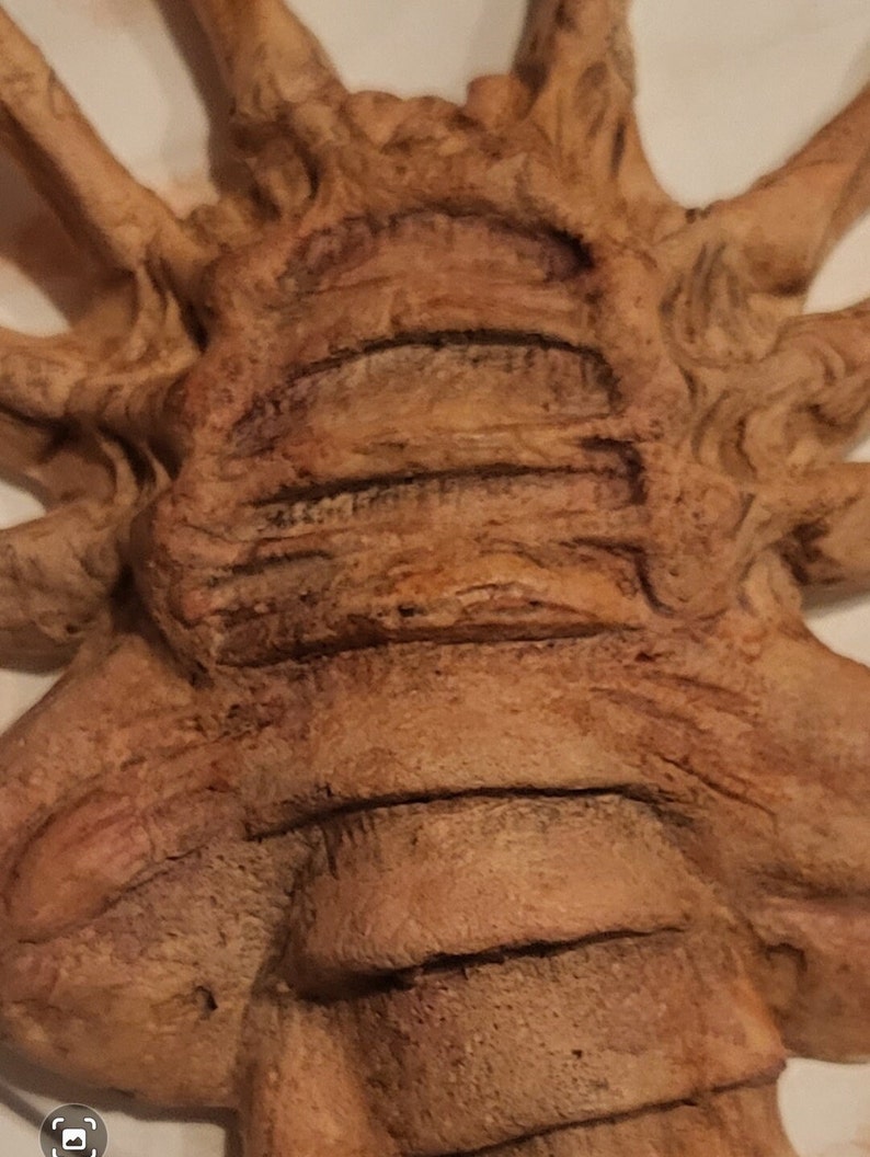 Face Hugger Prosthetic - Etsy