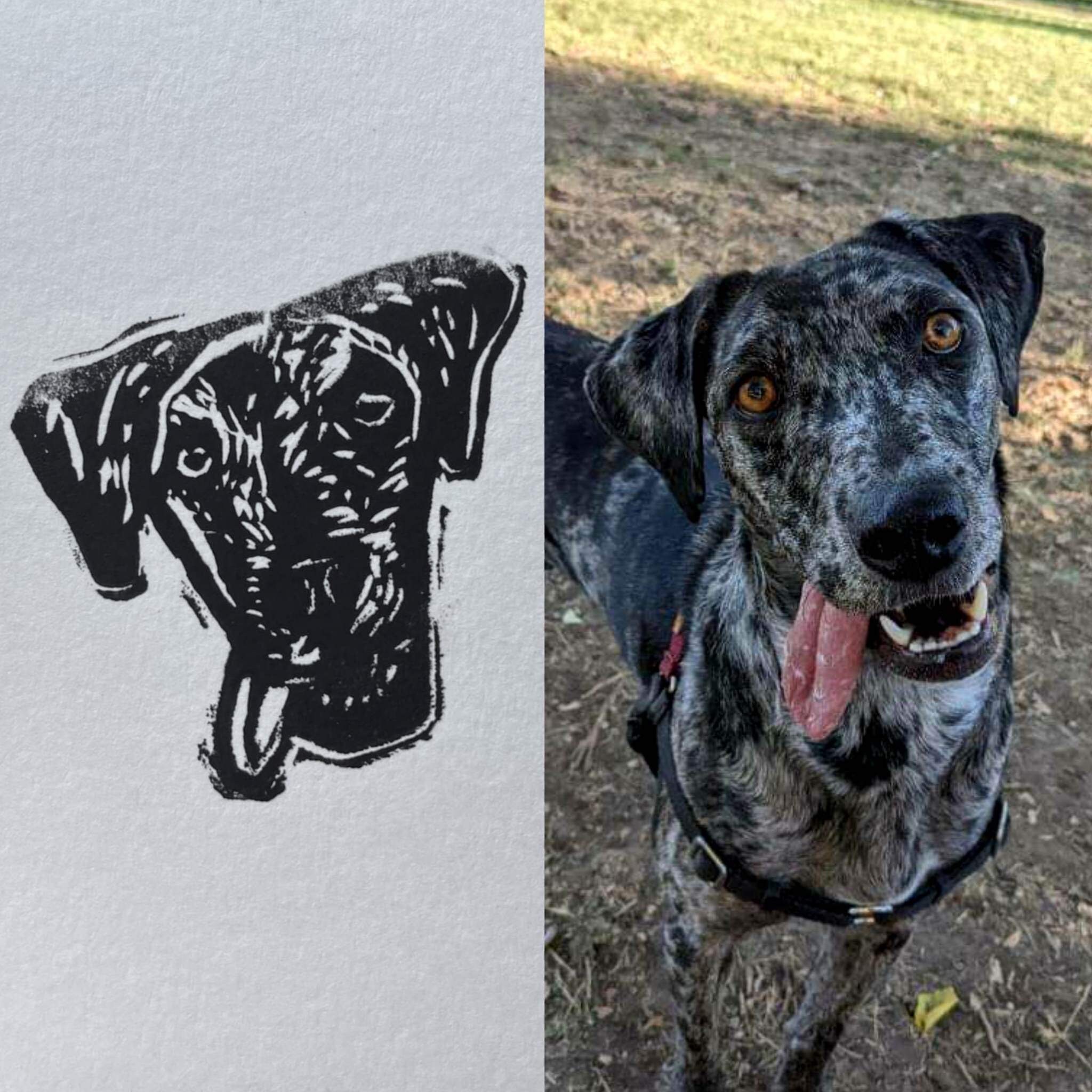 Custom Pet Portraits Linocut Prints dogs, Cats, Rats, Birds, Horses ...