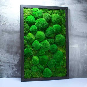 Handmade Large Moss Frame - Zero-maintenance Preserved Moss Art ...