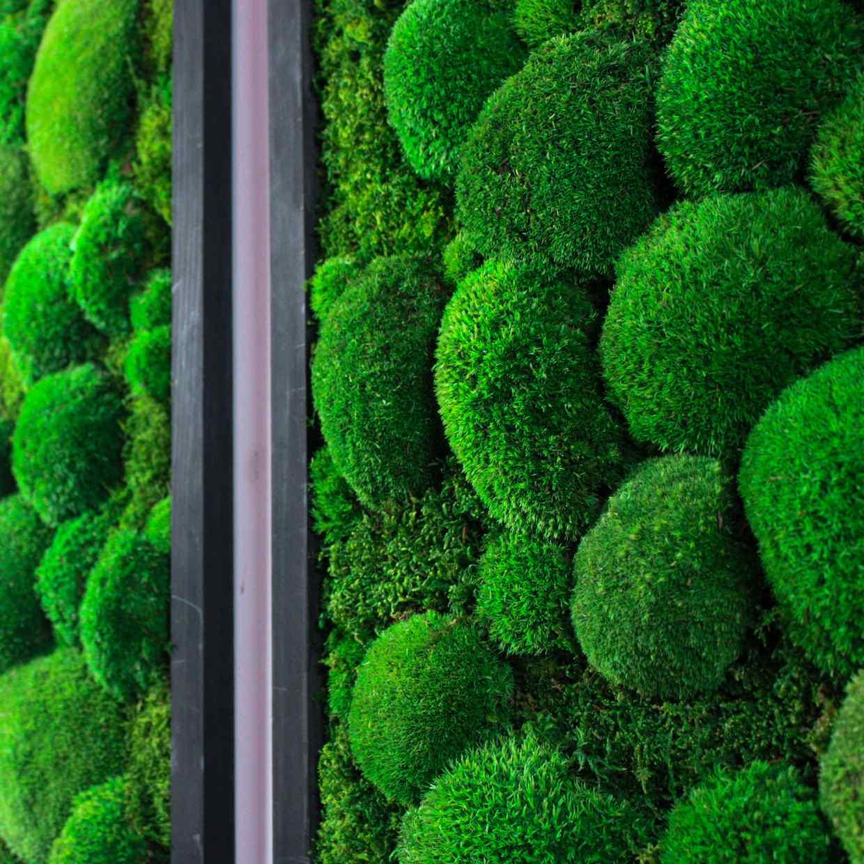 Handmade Large Moss Frame - Zero-maintenance Preserved Moss Art ...