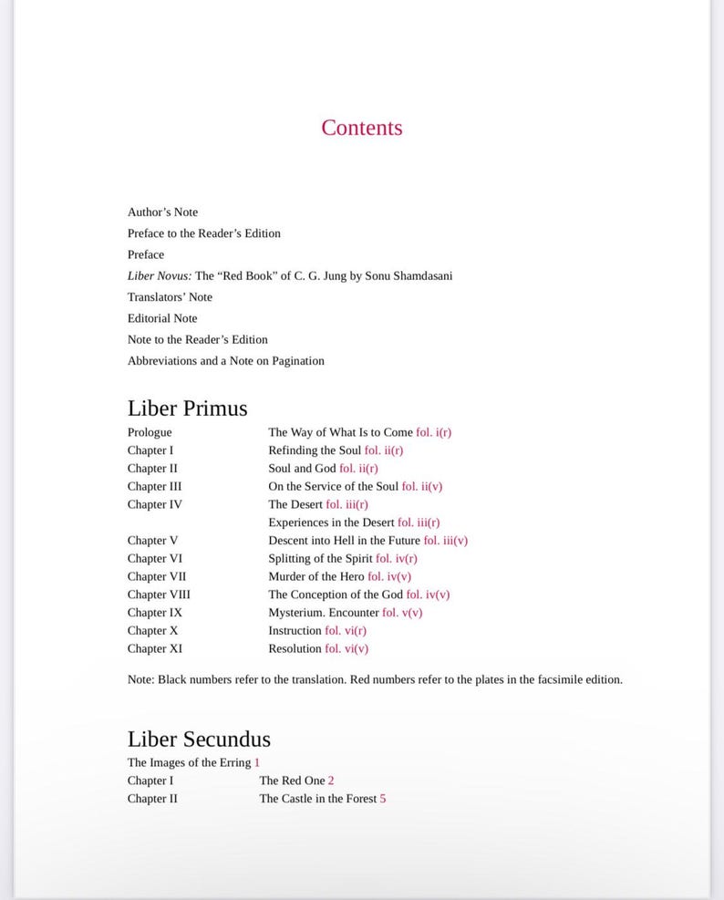 The Red Book (liber Novus) by Carl Jung - Etsy