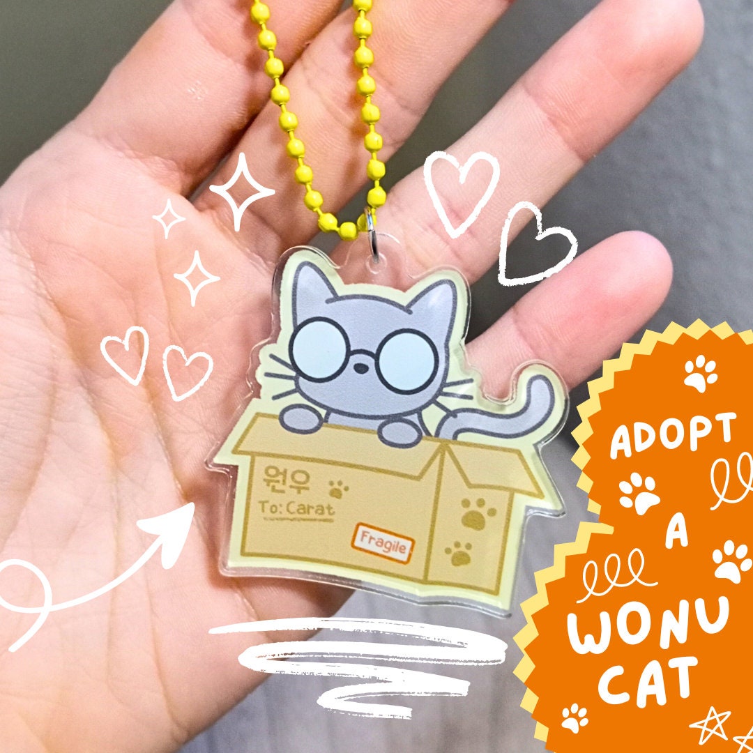 Wonwoo Keychain / Seventeen Keychain / SVT Carat Keyring / Kpop ...