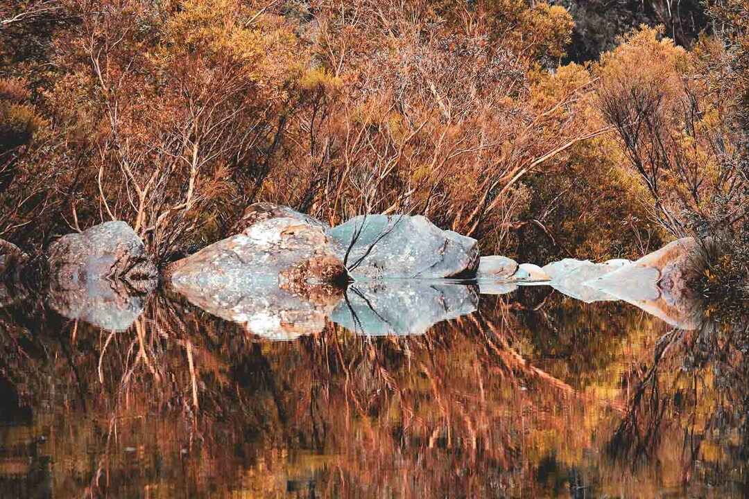 19. Printable Wall Art Fish Shaped Water Reflection at Jelly Bean Pool ...