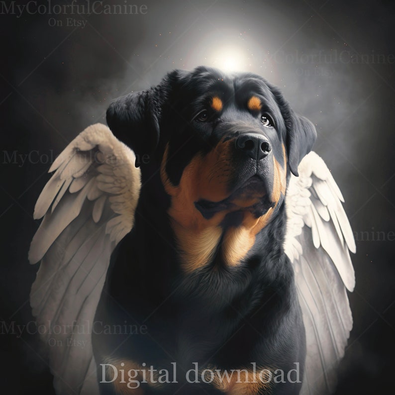 Rottie Angel Art - Digital Download High Quality - Large File - JPG ...
