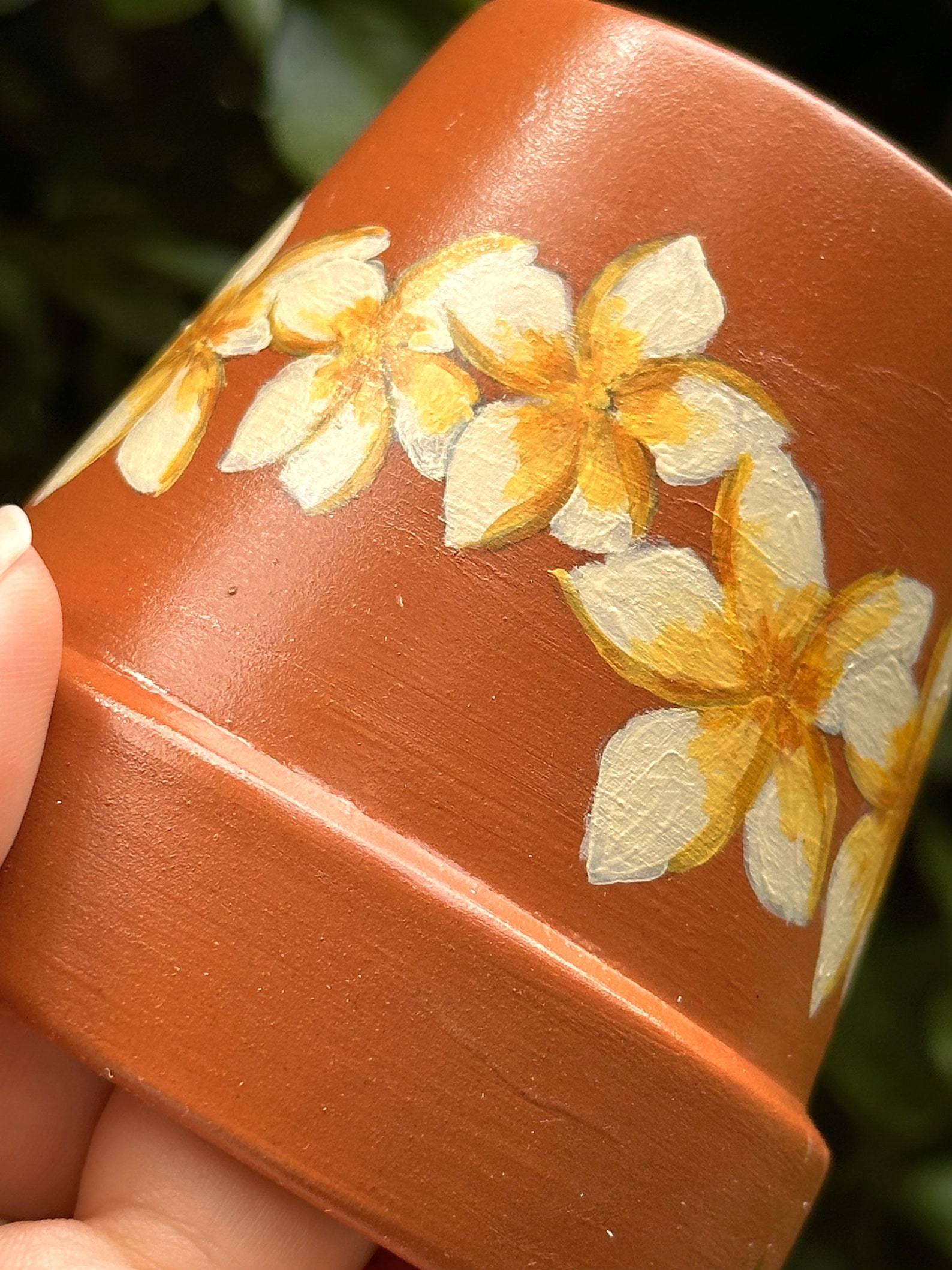 Pua Melia Pot Design | Plumeria Pot | Hand Painted on Terra Cotta Pot ...